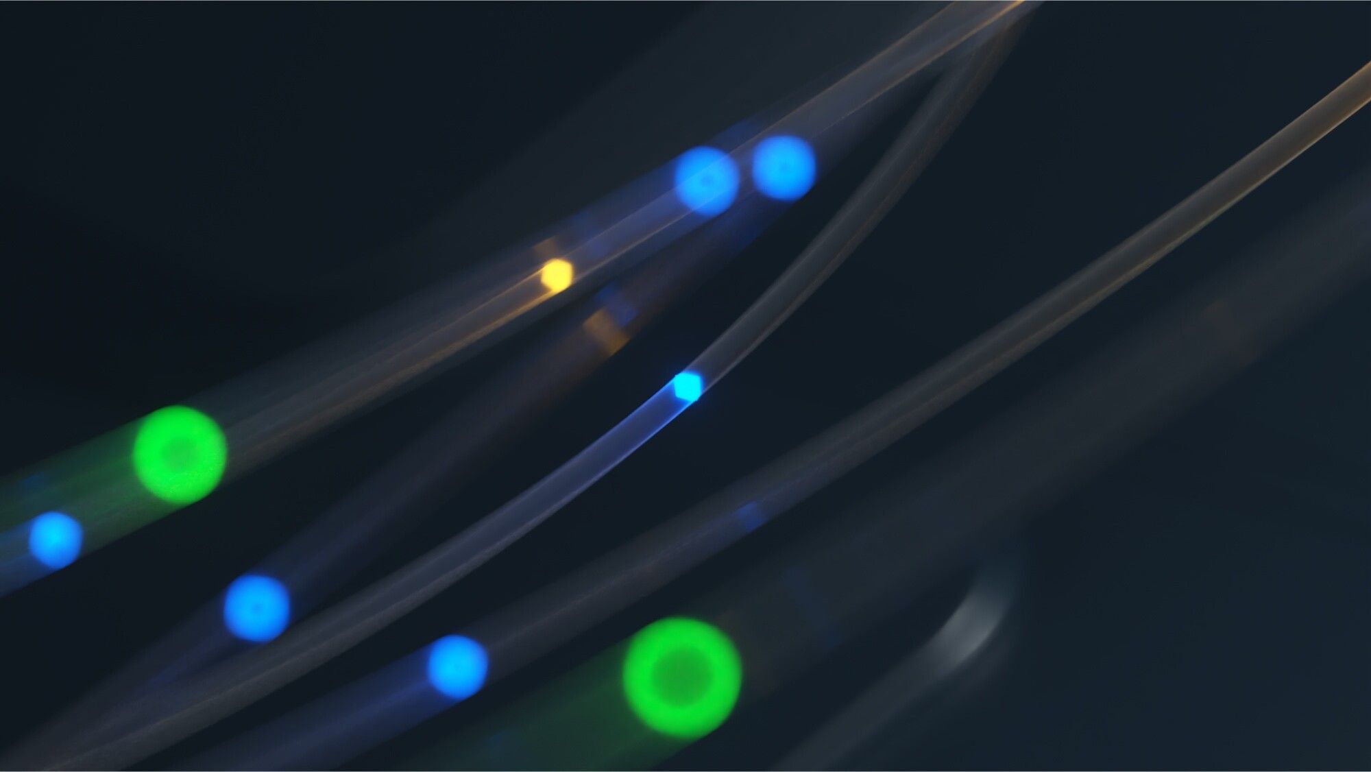 Detecting Identity Theft on the Dark Web